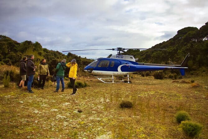 Stewart Island Transfer Flight - One way - The Sum Up