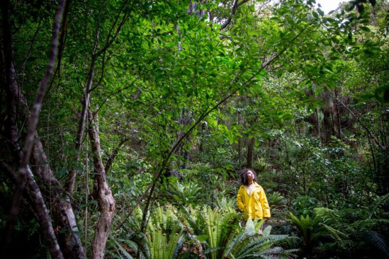 Stewart Island: Ulva Island Guided Wilderness Walk & Cruise - A Closer Look at the Experience