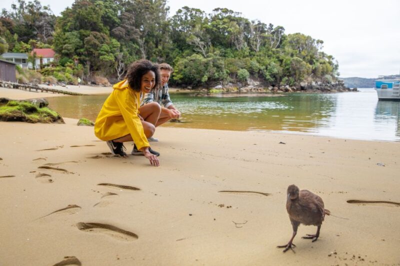 Stewart Island: Ulva Island Guided Wilderness Walk & Cruise - Final Thoughts