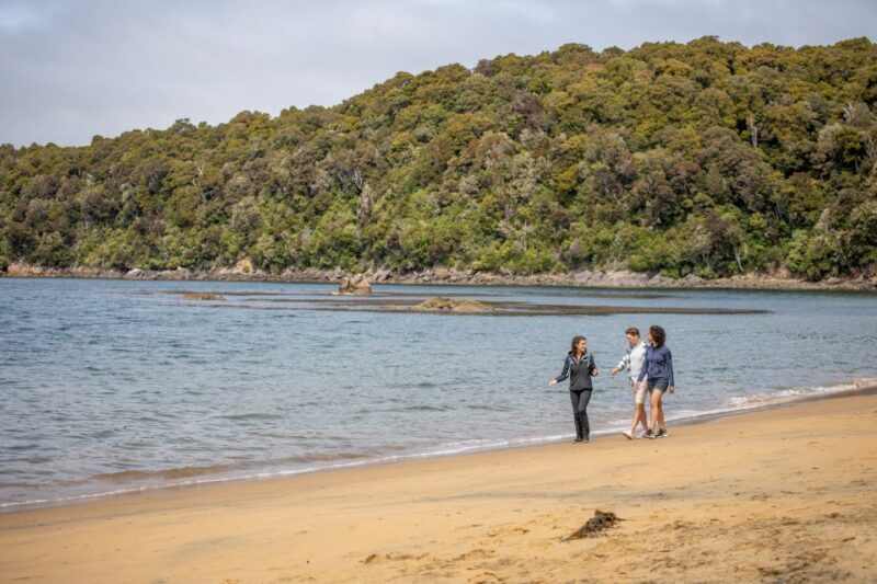 Stewart Island: Ulva Island Guided Wilderness Walk & Cruise - FAQs
