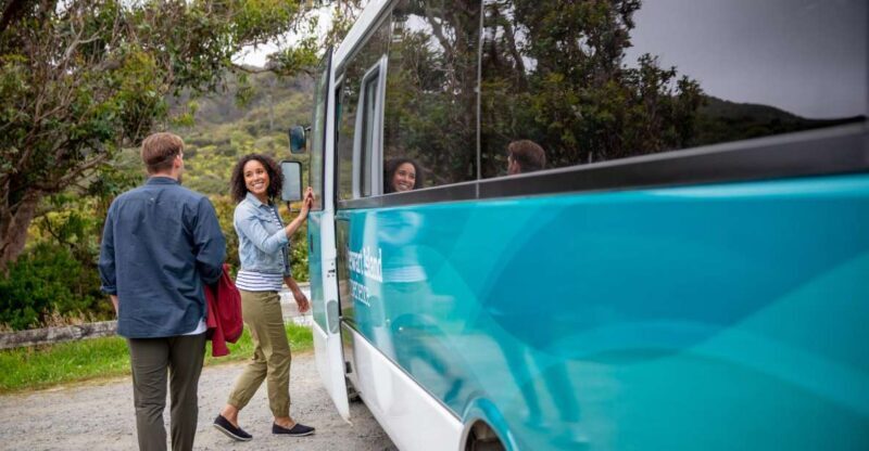 Stewart Island: Village and Bays Tour - An Authentic and View-Filled Introduction to Stewart Island