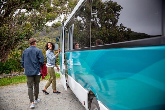 Stewart Island: Village and Bays Tour - Appreciating the Scenic Route