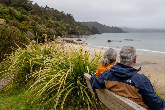 Stewart Island: Village and Bays Tour - Comparing the Experience to Other Tours