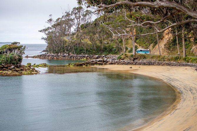 Stewart Island: Village and Bays Tour - Addressing the Review Concerns