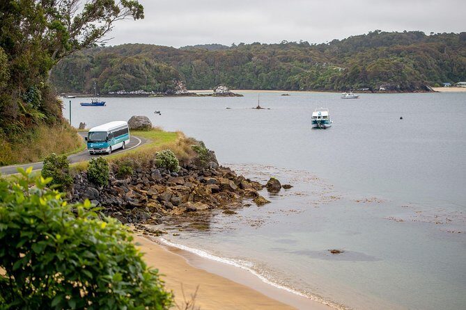 Stewart Island: Village and Bays Tour - Who Will Love This Tour?
