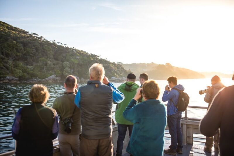 Stewart Island: Wild Kiwi Experiences - Final Words