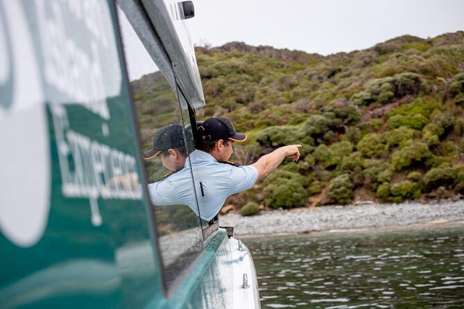 Stewart Island Wild Kiwi Experiences - How Good Is the Value?