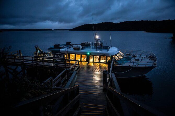 Stewart Island Wild Kiwi Experiences - The Sum Up: Is This Tour Right for You?