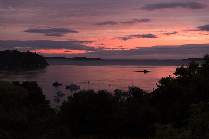 Stewart Island Wild Kiwi Experiences - FAQ