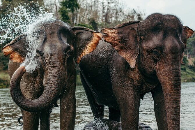 Sticky Waterfall Retreat and Chet Si Fountain Transfer - FAQ