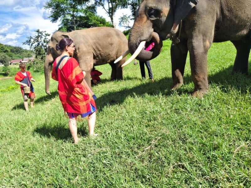 Sticky waterfalls- Elephants- Bamboo or White water rafting. - Key Points
