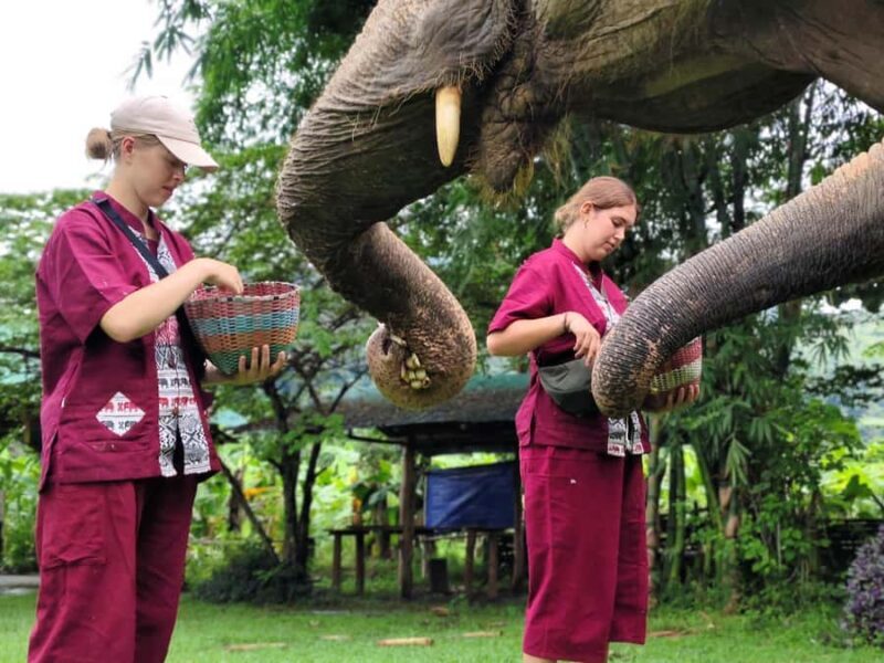 Sticky waterfalls- Elephants- Bamboo or White water rafting. - Practical Tips for Travelers