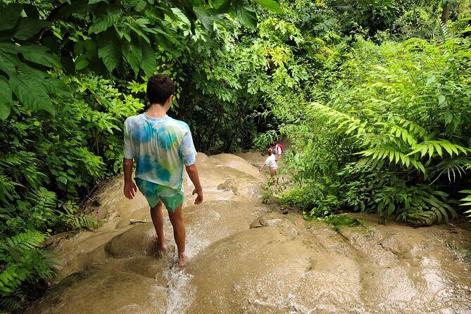 Sticky waterfalls. Local Market. Rice fields. Cycling & temples. - The Sum Up: Who Is This Tour Best For?
