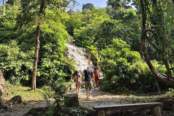 Sticky Waterfalls Private Half Day Fun Escapades - The Itinerary in Detail: What You Can Expect