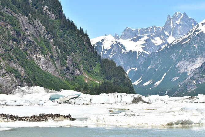 Stikine River Wilderness Tour - An In-Depth Look at the Stikine River Wilderness Tour