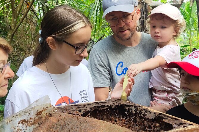 Stingless Bee Honey Farm and Beekeeping Tour - Exploring the Stingless Bee Honey Farm and Beekeeping Tour in Ubud