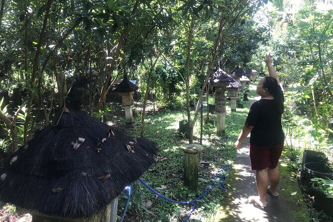 Stingless Bee Honey Farm and Beekeeping Tour - Who Should Consider This Tour?