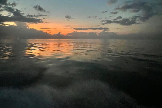 Stingray City and Snorkeling Private Charter - Who Should Book This Tour?