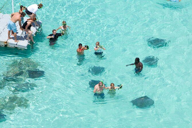 Stingray City - Key Points