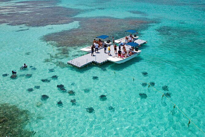 Stingray City - What to Expect from the Itinerary
