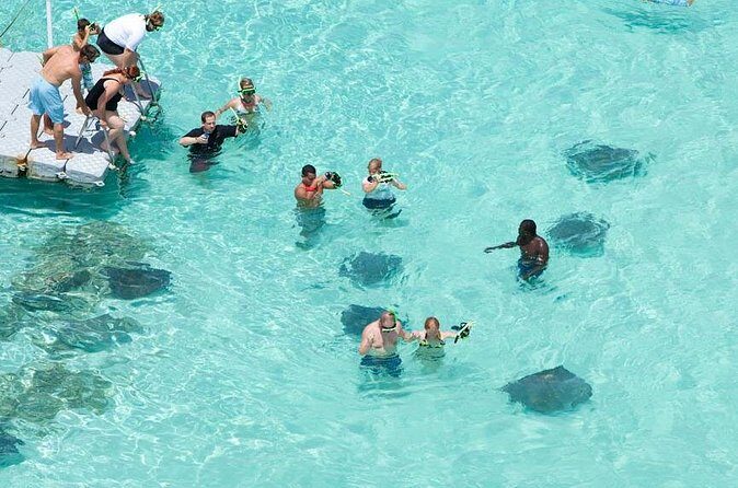 Stingray City - Final Thoughts: Is It Worth It?