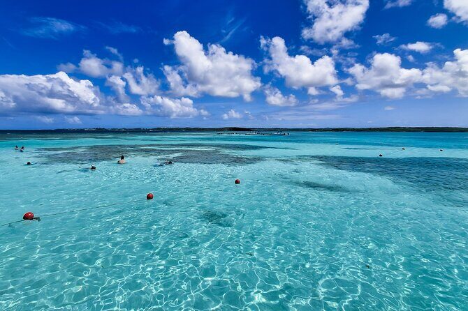 Stingray City experience, Devils Bridge and Long Bay Beach - FAQs