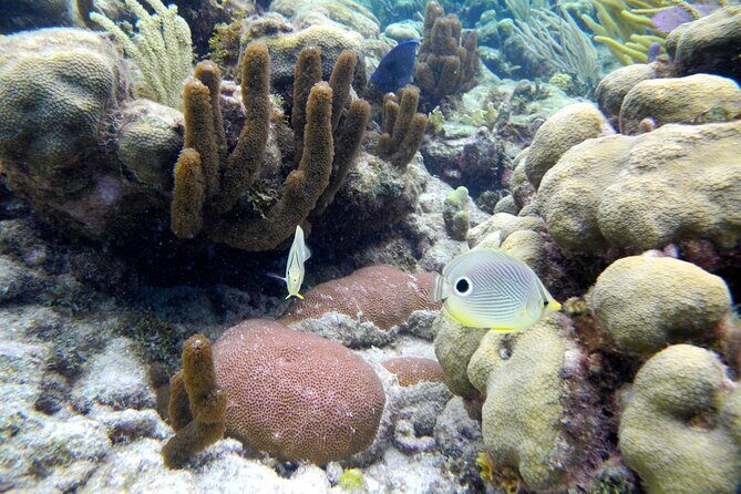 Stingray City Private Charters - Who Is This Tour Best Suited For?