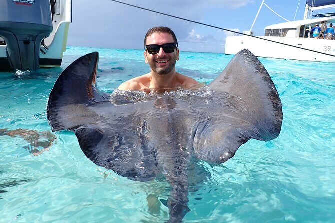 Stingray City Sandbar Experience - How It Compares to Other Tours