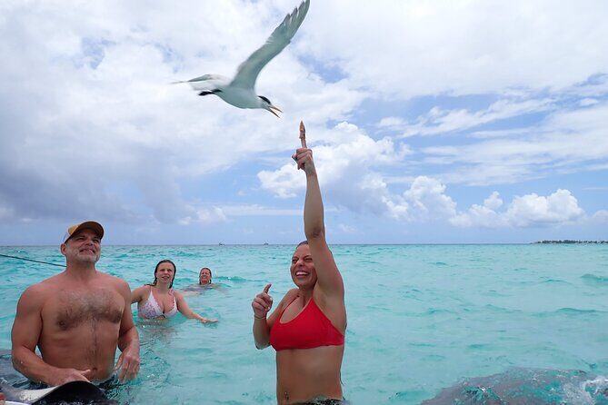 Stingray City Sandbar Experience - Authentic Feedback and Real Experiences