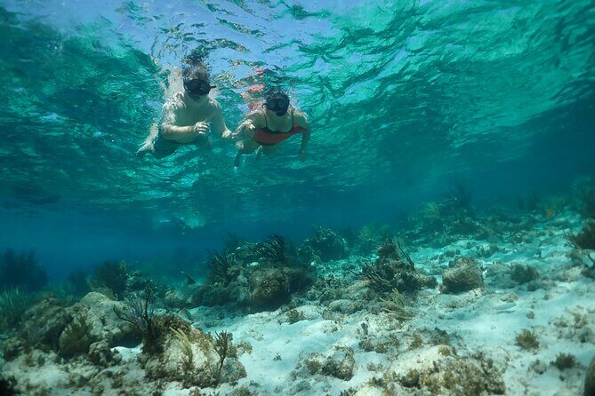 Stingray City Sandbar, Snorkel, Star fish Beach (Family operated) - The Sum Up: Is This Tour Right for You?