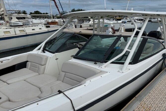 Stingray City, Star fish Point and Snorkeling Private Boat Tour - The Itinerary: What You Can Expect