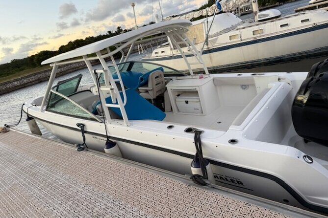 Stingray City, Star fish Point and Snorkeling Private Boat Tour - The Sum Up