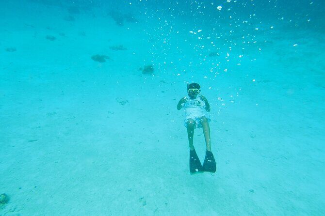 StingrayCity ,Coral Garden & Starfish Tour. - Who Will Enjoy This Tour?