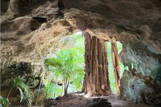 Stingrays, Starfish and Crystal Cave Adventure - What to Expect from the Tour