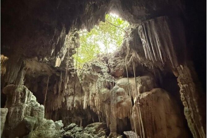 Stingrays, Starfish and Crystal Cave Adventure - Final Thoughts