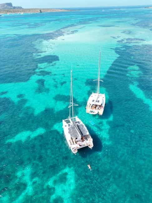 Stintino: full day tour catamaran Asinara Island - The Experience on the Water