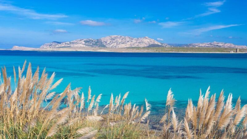 Stintino: Half-day catamaran tour to La Pelosa with aperitif - Who This Tour Is Perfect For