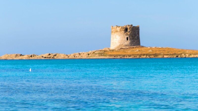 Stintino: Half-day catamaran tour to La Pelosa with aperitif - Final Thoughts