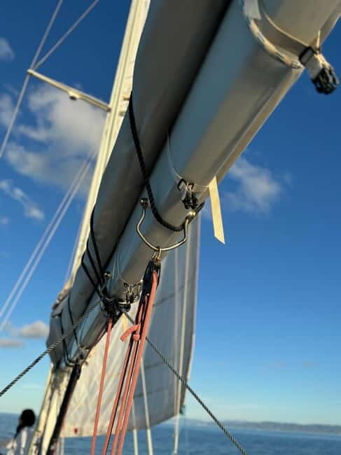 Stintino: Sailing Adventure with Authentic Flavors Onboard - Why Choose This Sailing Tour?