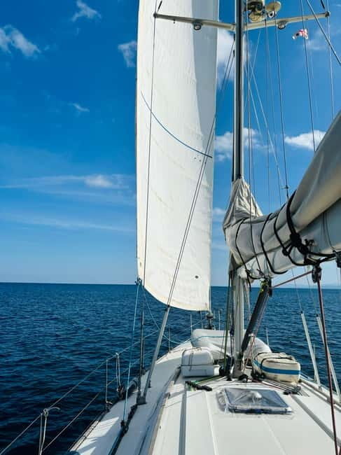 Stintino: Sailing Adventure with Authentic Flavors Onboard - The Experience in Real Life: What Guests Say