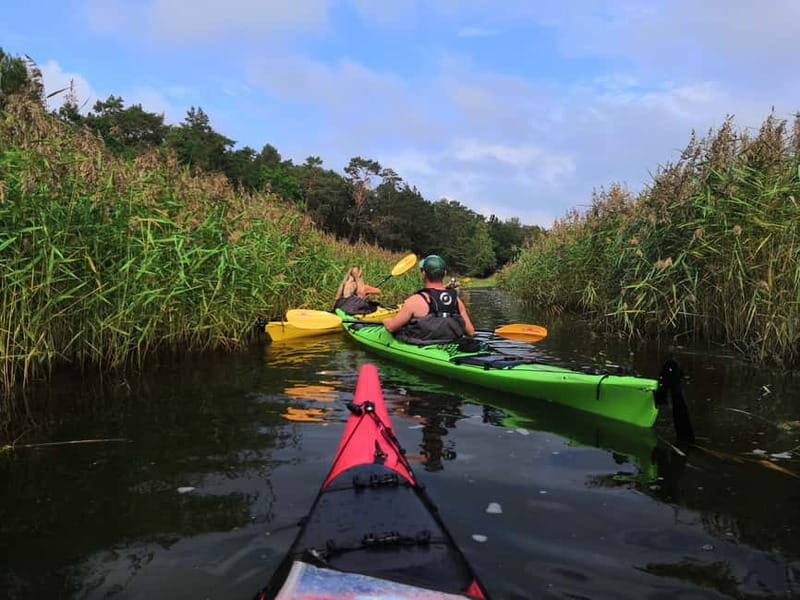 Stockholm Archipelago: Fun-Day Kayaking with Island Lunch - An In-Depth Look at the Tour Experience
