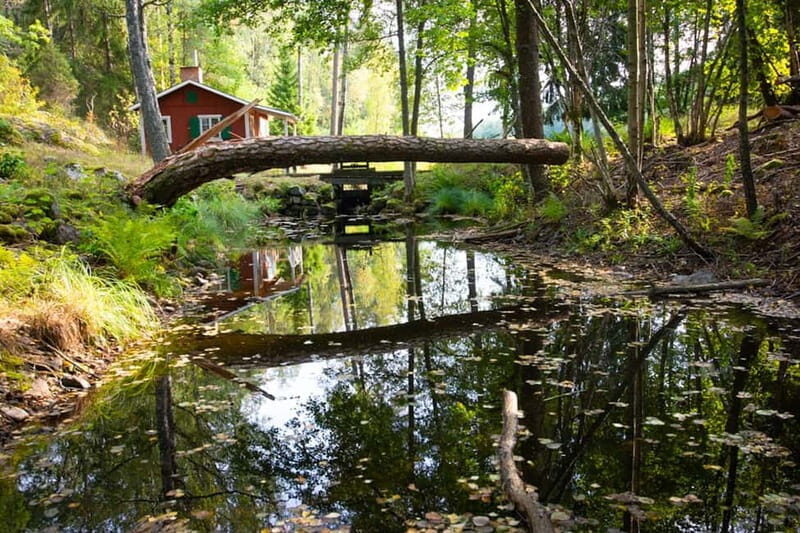 Stockholm: Canoe and Kayak Rental in Sörmland - Discover Sörmlands Natural Beauty with Your Own Paddle