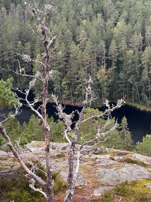 Stockholm: Canoe and Kayak Rental in Sörmland - Benefits of the Equipment and Facilities