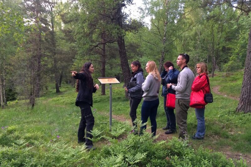 Stockholm: Evening Wildlife Safari with Midsummer Meal - The Reviews in Perspective