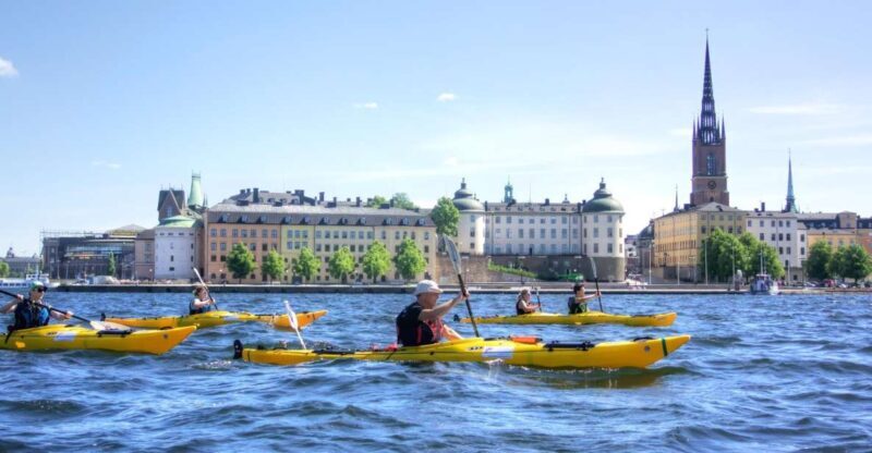 Stockholm: Guided Kayak City Tour & Optional Midsummer Meal - Who Will Love This Tour?