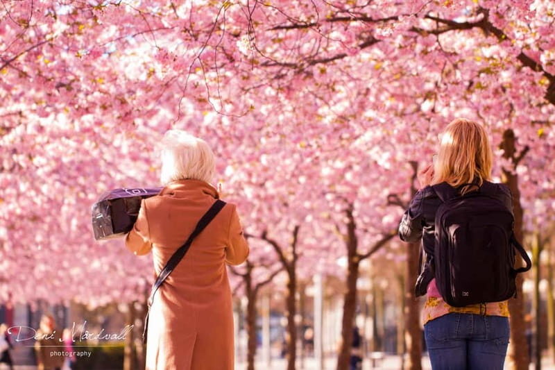 Stockholm: Highlights Guided Walking Tour - Who Should Consider This Tour?