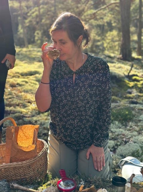 Stockholm, Mushroom and Wild Plant Foraging Tour with expert - Practical Details for Planning