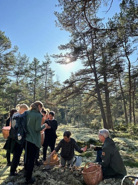 Stockholm, Mushroom and Wild Plant Foraging Tour with expert - FAQ