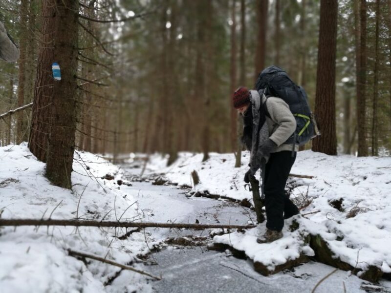 Stockholm: Nature Hike with Campfire Lunch - Key Points