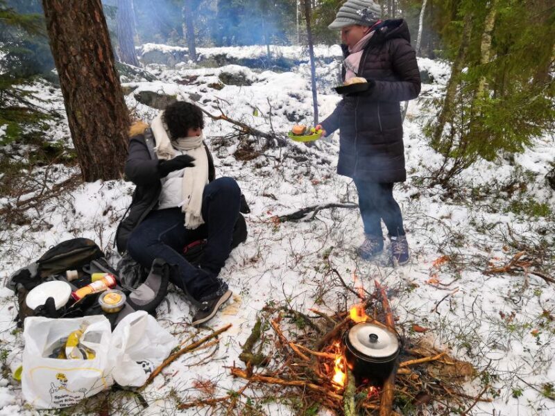 Stockholm: Nature Hike with Campfire Lunch - An In-Depth Look at the Experience